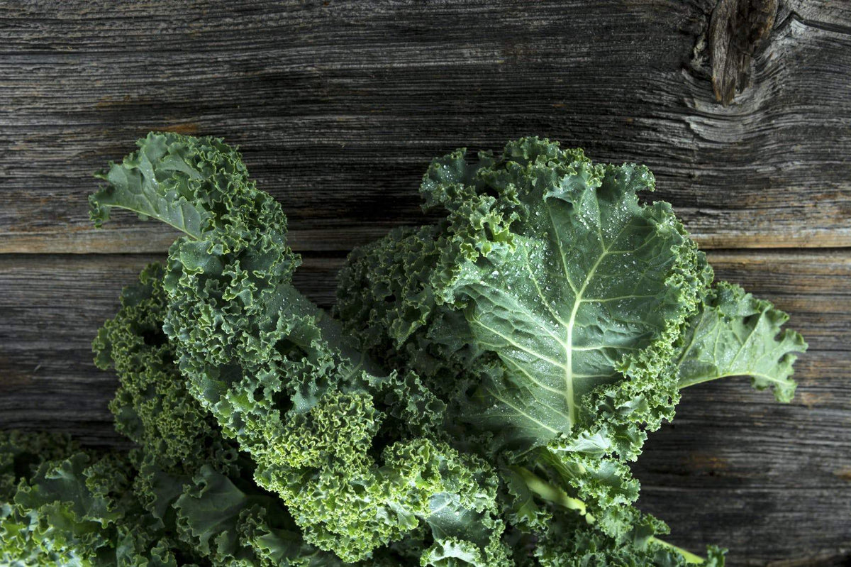 Everything You Need to Know about Kale – Nutribullet India